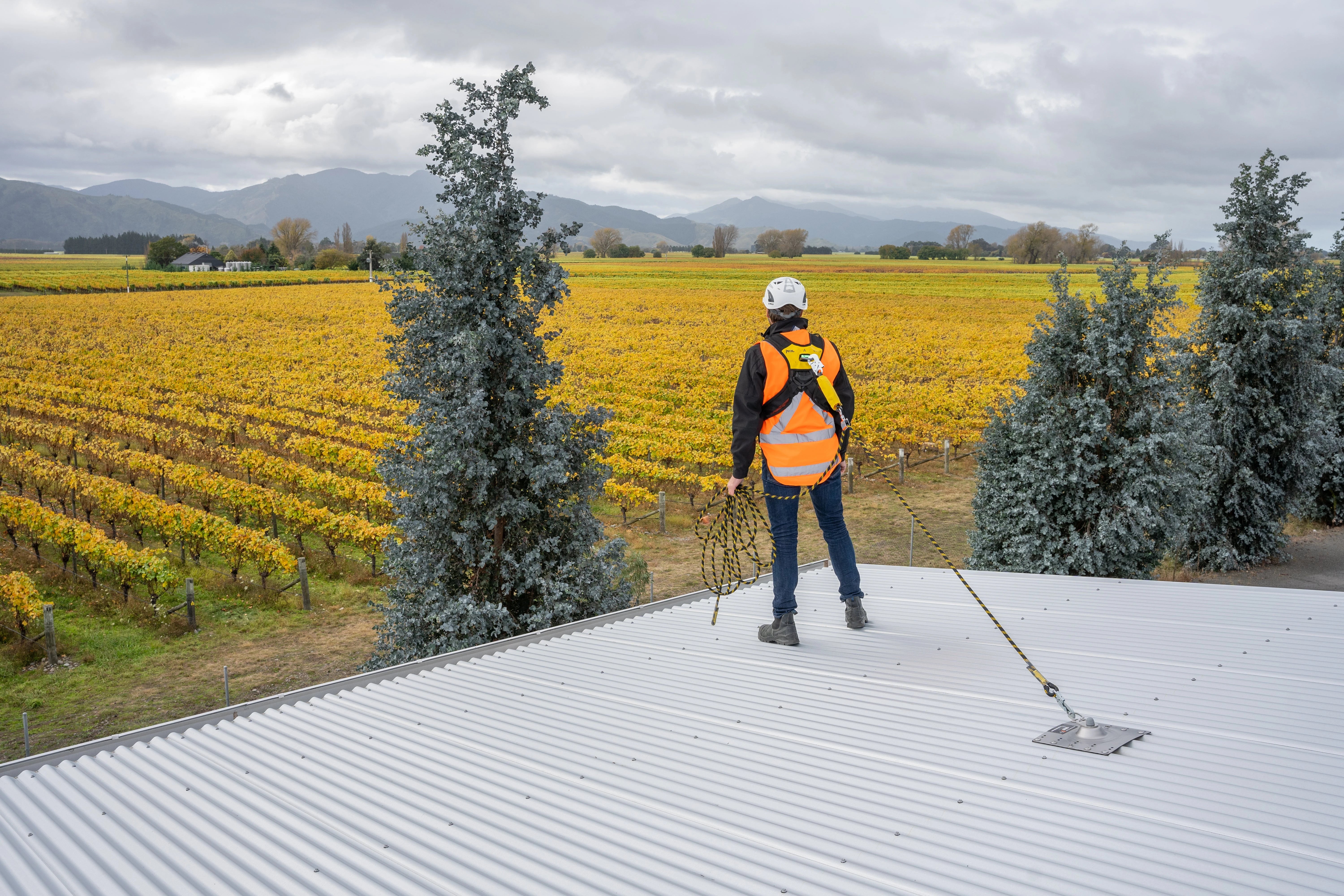 Anchor Points – NZ Access